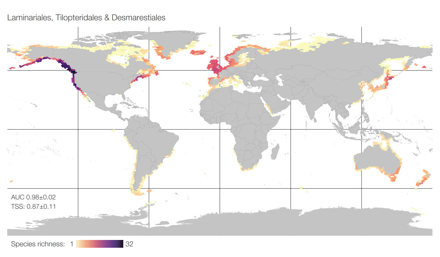 Mapping the global biodiversity patterns of marine forests ...